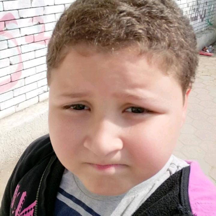 moaz Mohamed (@moqz) Realtime TikTok Live Follower Counter 🔥 ...