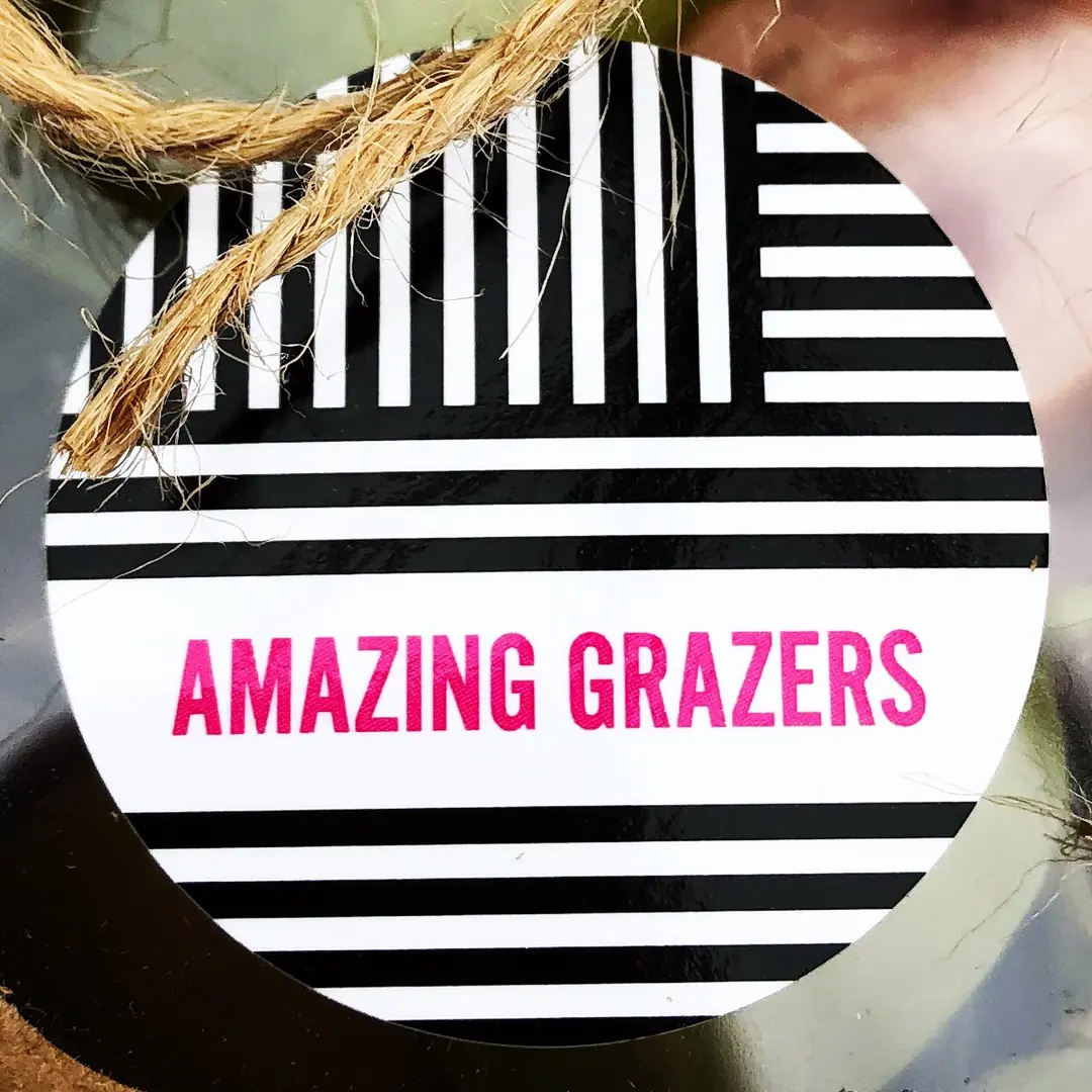 Amazing Grazers | Tania Pradun - @amazing_grazers TikTok Analytics ...