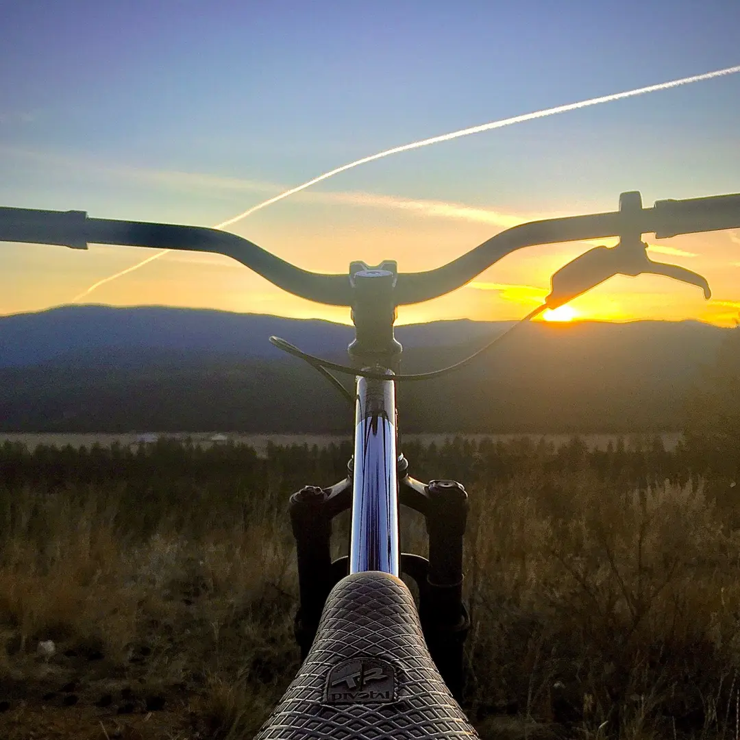 Alex Pickering - @alexpickering TikTok Analytics | Profile, videos ...