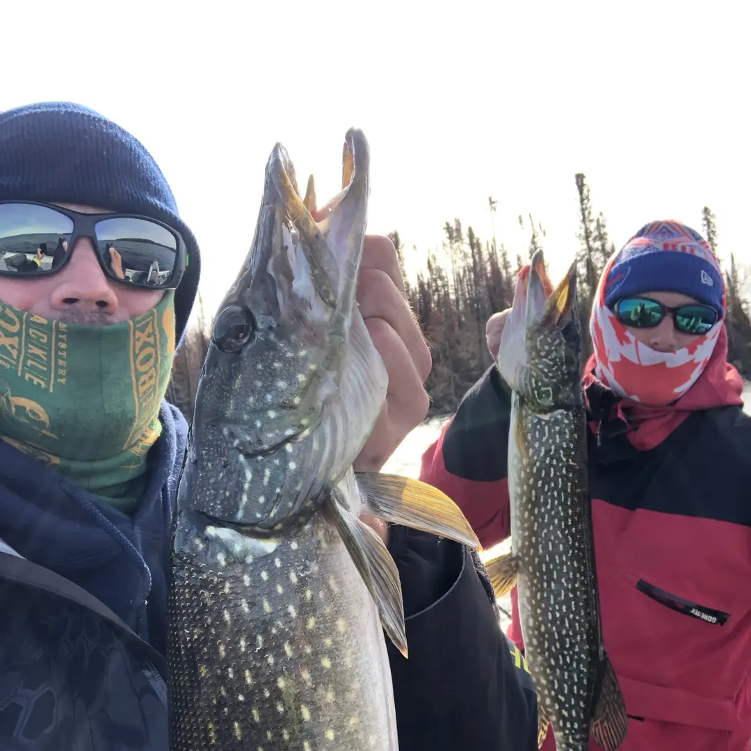 Chris Fish - @lakesource TikTok Analytics | Profile, videos & hashtags | Exolyt