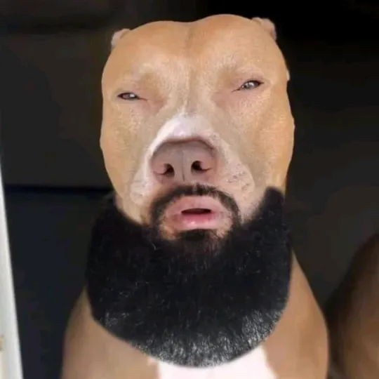 Rizz Deals 👮‍♂️ | UGC Creator - @rizzdeals TikTok Analytics | Profile ...